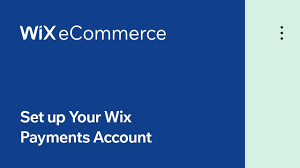 Online Payment Gateway Services Provider for Wix - Oceanpayment